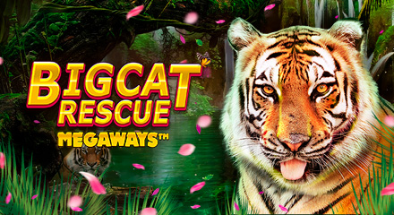 Big Cat Rescue Megaways - Slot Rodeado de Felinos | JOKERBET.es
